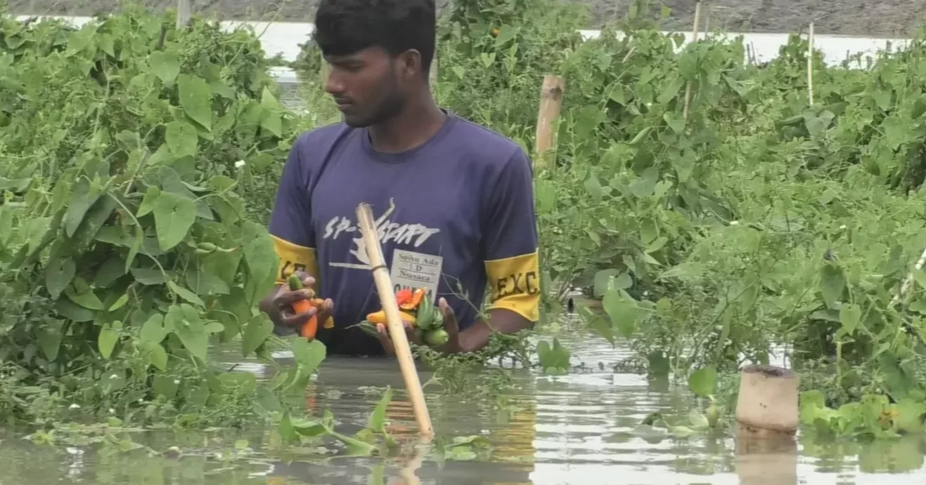 Onrush of upstream water, rain trigger flood in Kurigram